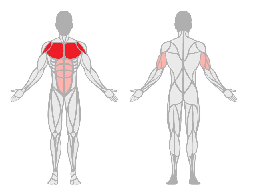 Armbøjninger (push-ups) | Svensk Kosttilskud